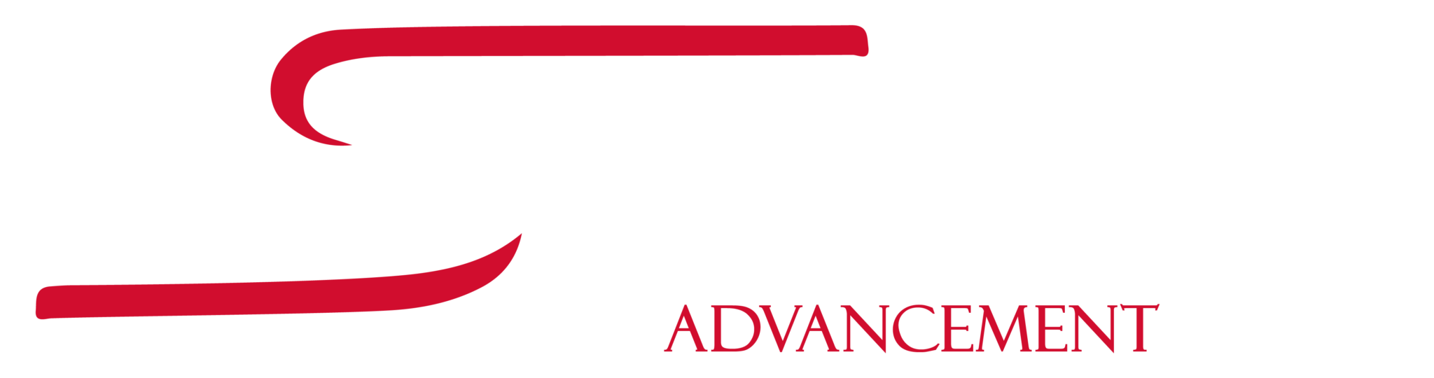 School of Science & Technology | Advancement | Houston, TX | School of ...